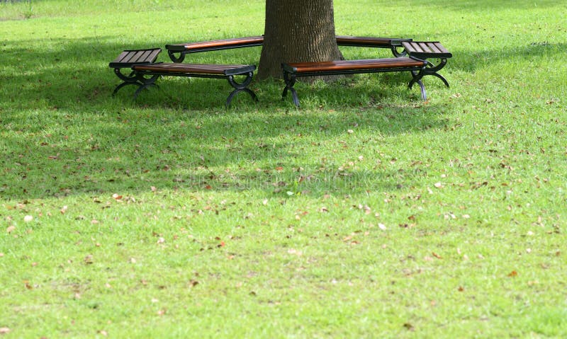 Bench Under Tree Park Stock Photos - Download 3,072 Royalty Free Photos