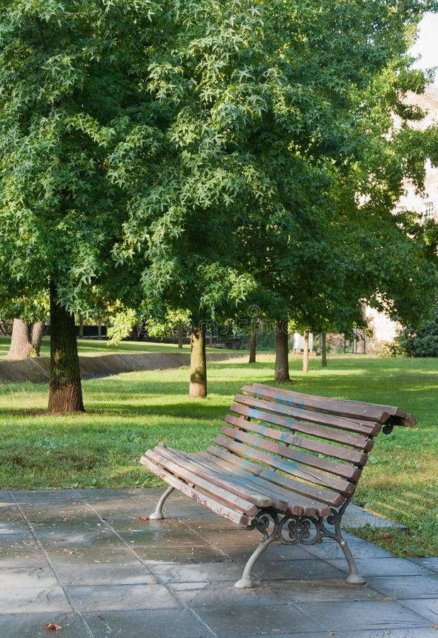 Bench Under a Tree in the Park Stock Photo - Image of green, golden ...