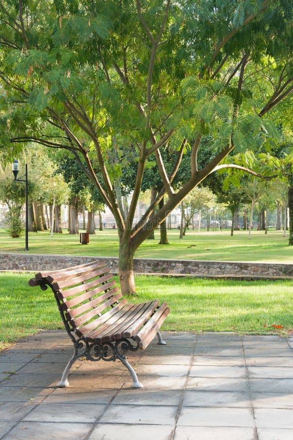 Bench Under a Tree in the Park Stock Image - Image of natural, chair ...