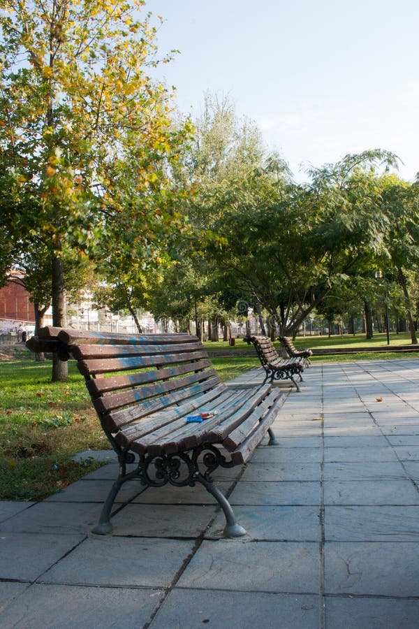 Bench Under a Tree in the Park Stock Photo - Image of park, foliage ...