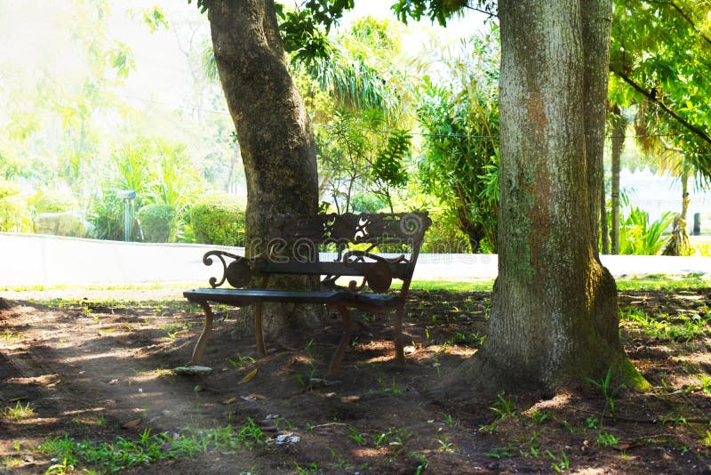 A Bench Under a Tree Wayside. Stock Image - Image of rest, leaves: 86293525