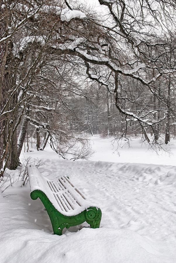 Bench Under a Tree in Winter Park Stock Photo - Image of background ...