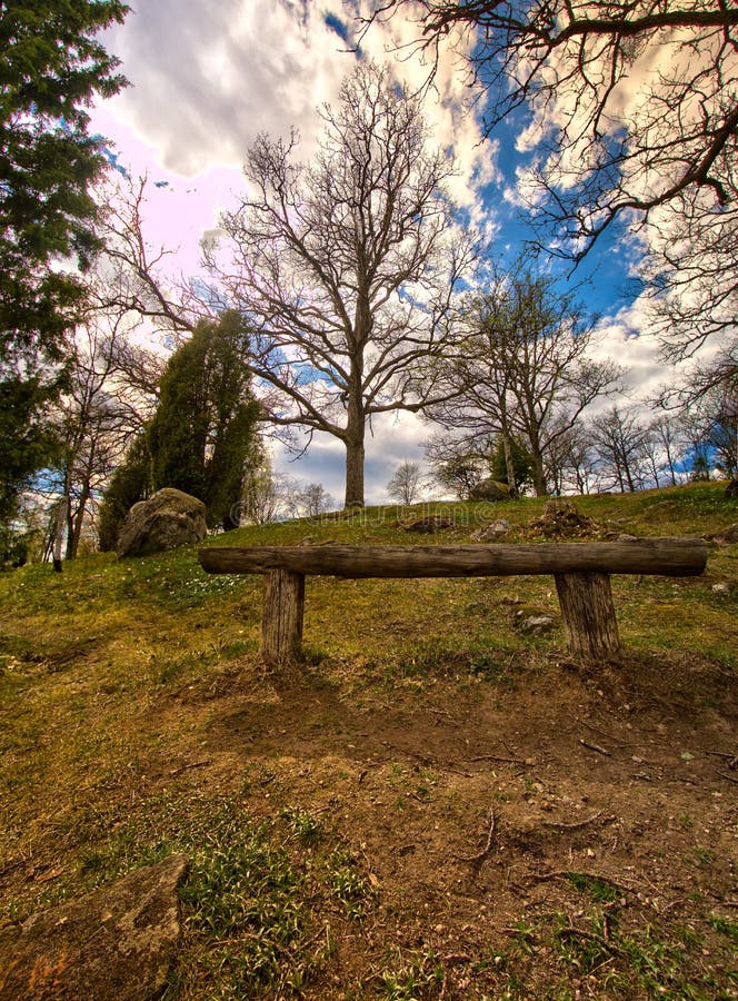 Bench Uppon the Hill at the HÃ¶gakull Natural Reserve Stock Image ...