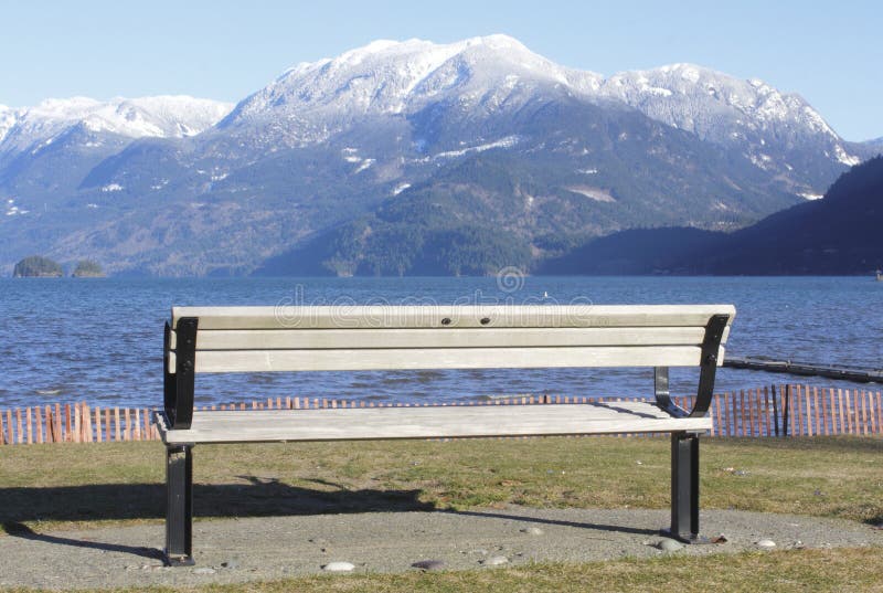 Bench with a View stock photo. Image of bench, lakeside - 28744862