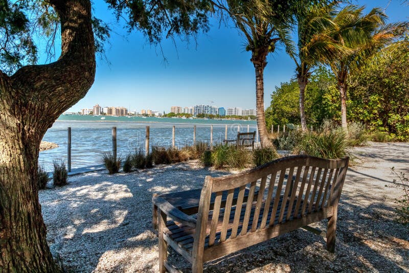 Bench view of Sarasota Bay stock photo. Image of nature - 175111740
