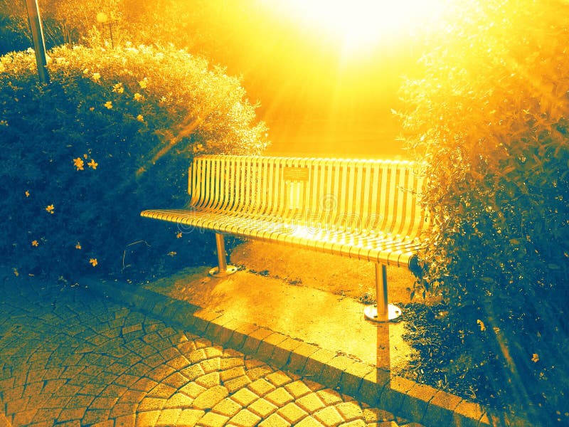 Bench stock photo. Image of busch, rays, derry, sunny - 78881334