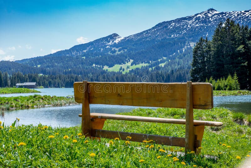 A Bench with View of the Swiss Alps on the Shore of a Lake in Summer ...