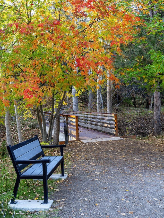 Bench Walkway and Bridge in a Popular Park in Boise Idaho Stock Photo ...
