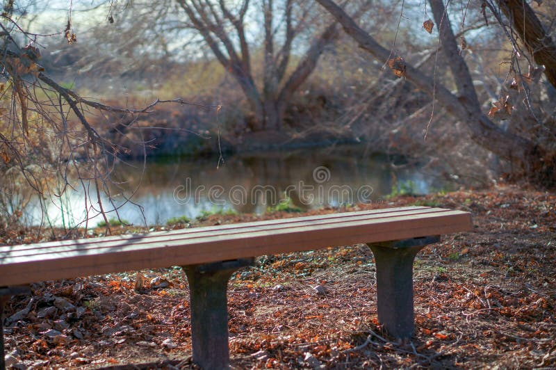 Bench by the Water in the Winter Time Stock Photo - Image of landscape ...