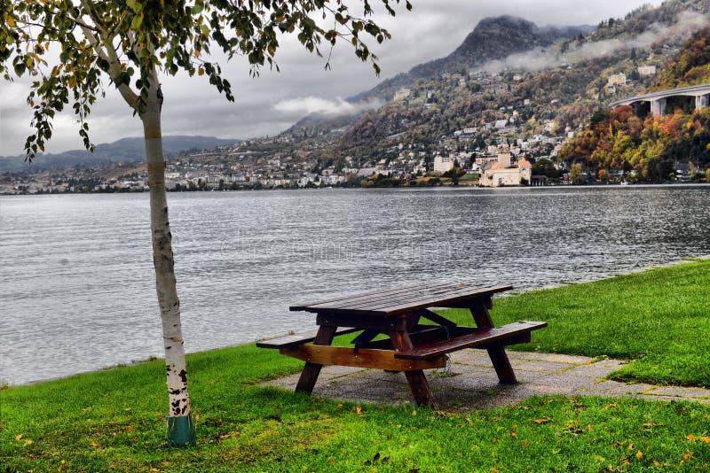 Bench on the waterfront stock photo. Image of park, nature - 115447032