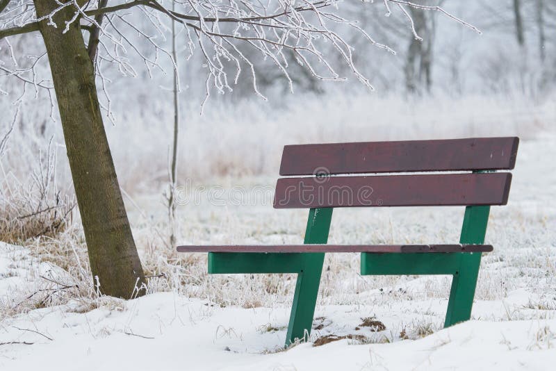 Bench in winter nature. stock image. Image of wood, walk - 111547651