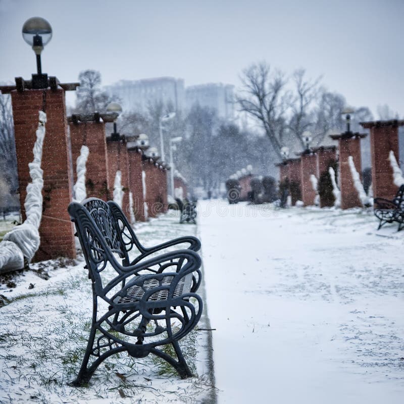 Bench in winter park stock image. Image of winter, season - 29387569