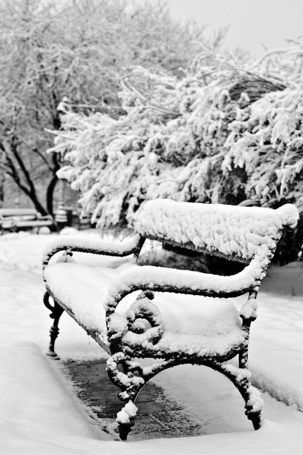 Bench in winter park stock photo. Image of frost, january - 29556976
