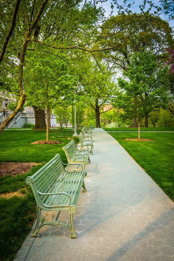 Two Benches Along Path Under Pergola Stock Photo - Image of landscape ...