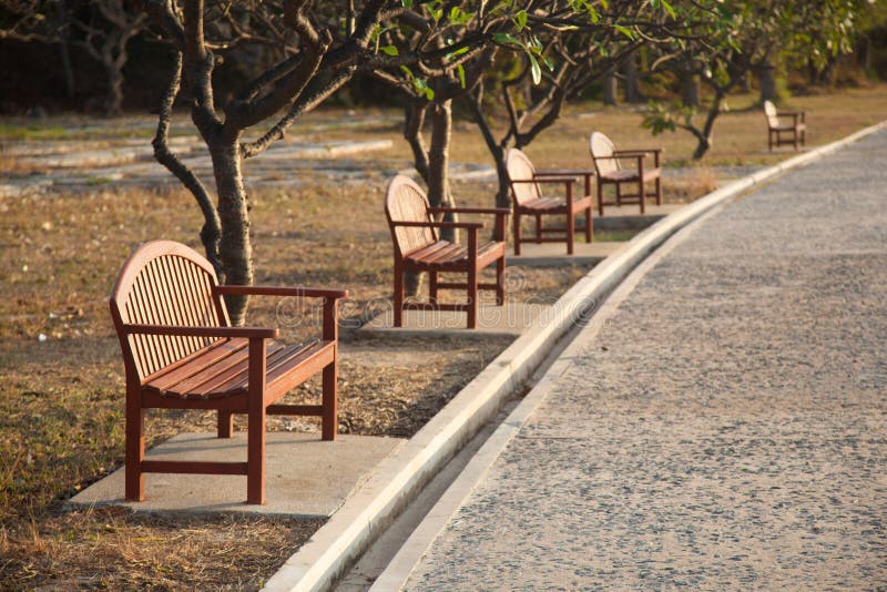 Benches along the path. stock photo. Image of forest - 34610548