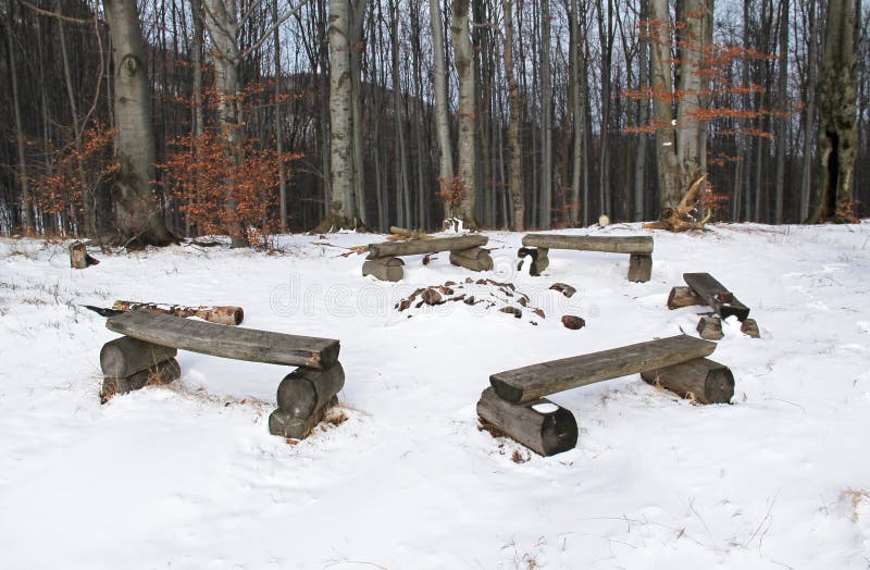 Benches Around the Fire Place Stock Photo - Image of tree, benches ...