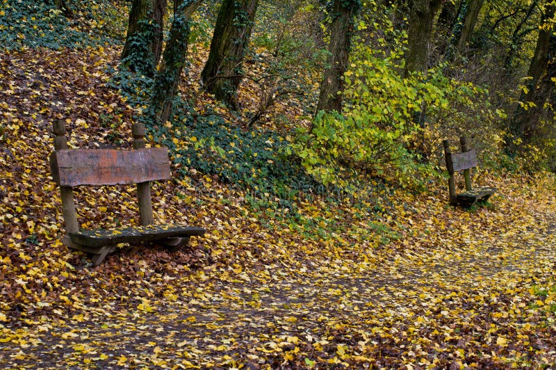Banch stock image. Image of meadows, nature, apple, meadow - 24627795
