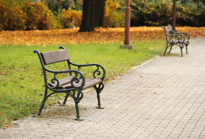 Benches in autumn park stock photo. Image of golden, bench - 79600186