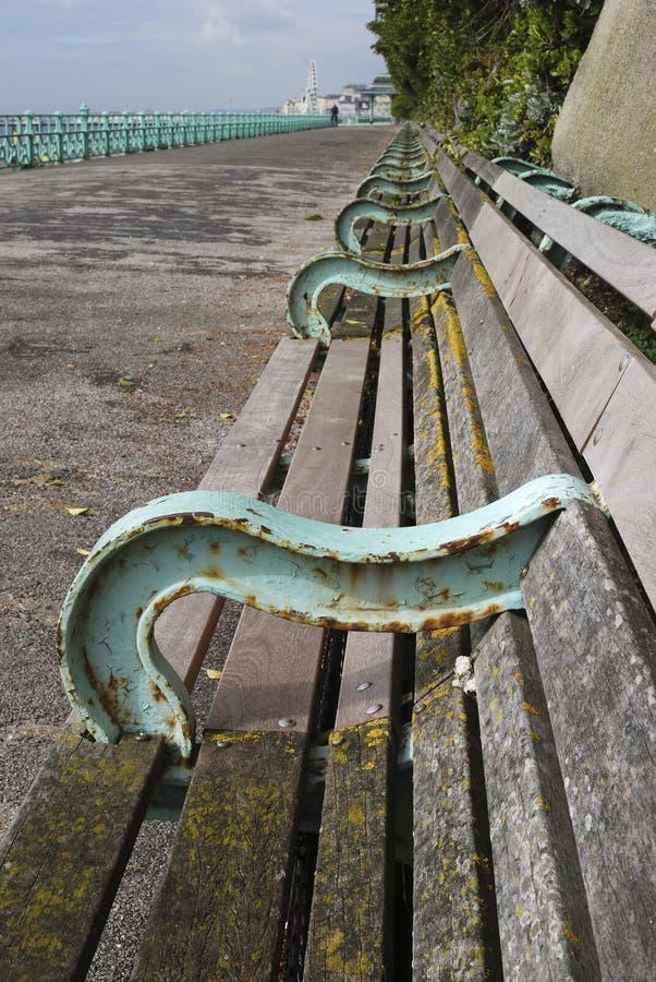 Benches on Brighton Seafront. UK Stock Photo - Image of seat, england ...