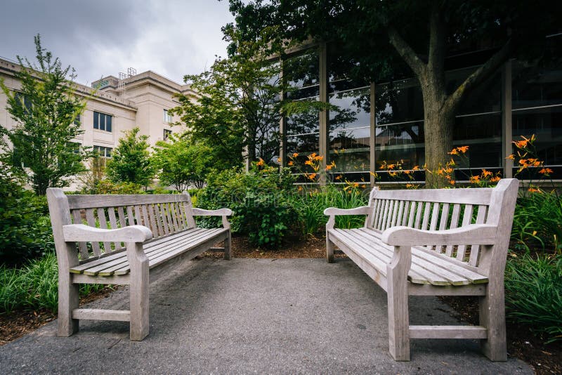 Benches and Buildings at Harvard University, in Cambridge ...
