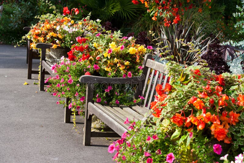 Flower Garden and Vintage Bench Stock Image - Image of leaf, gardening ...