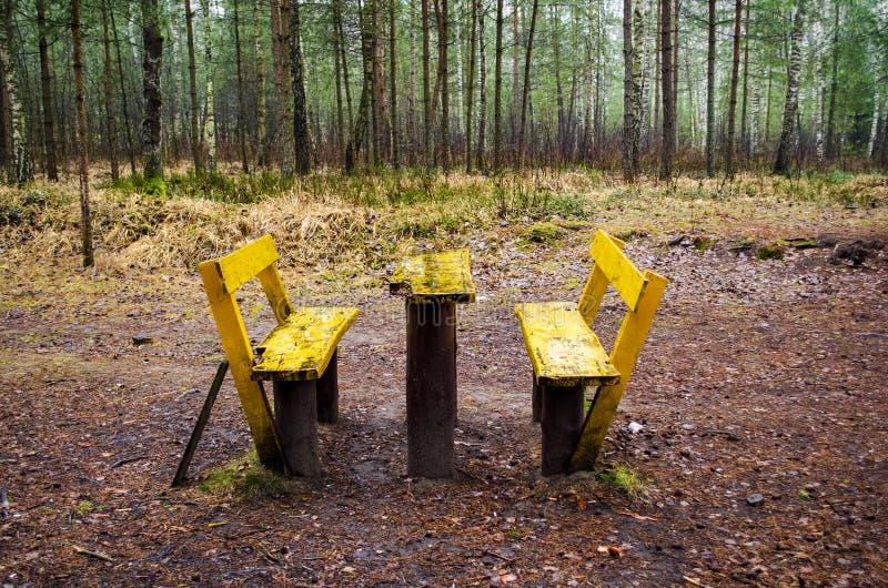 Benches in the Forest for Relaxation Stock Image - Image of autumn ...