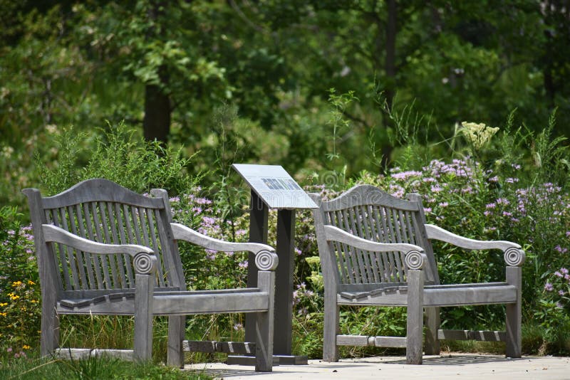 Wooden Bench in Forest stock image. Image of wooden - 133411059