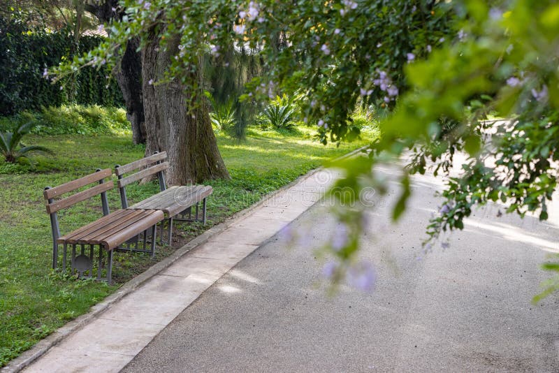 Benches in a Green Park by Empty Walking Path Stock Photo - Image of ...