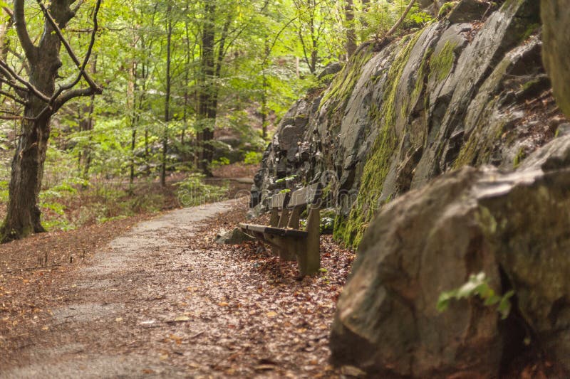 Benches by a Narrow Asphalt Path in a Park.. Stock Photo - Image of ...