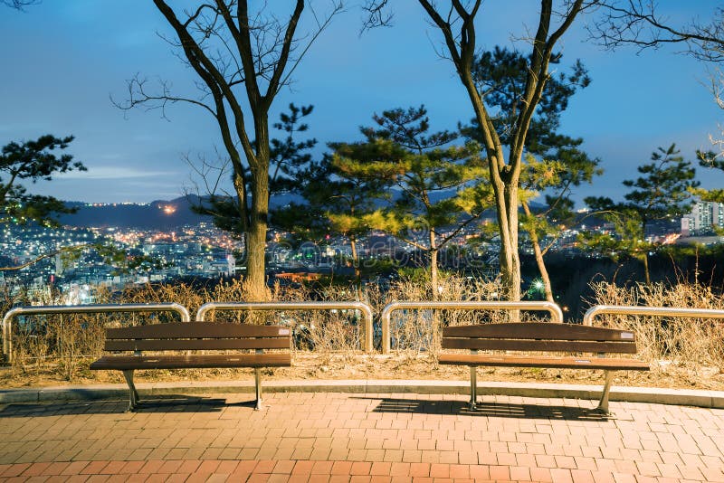 Benches at night stock photo. Image of seoul, view, park - 65084158