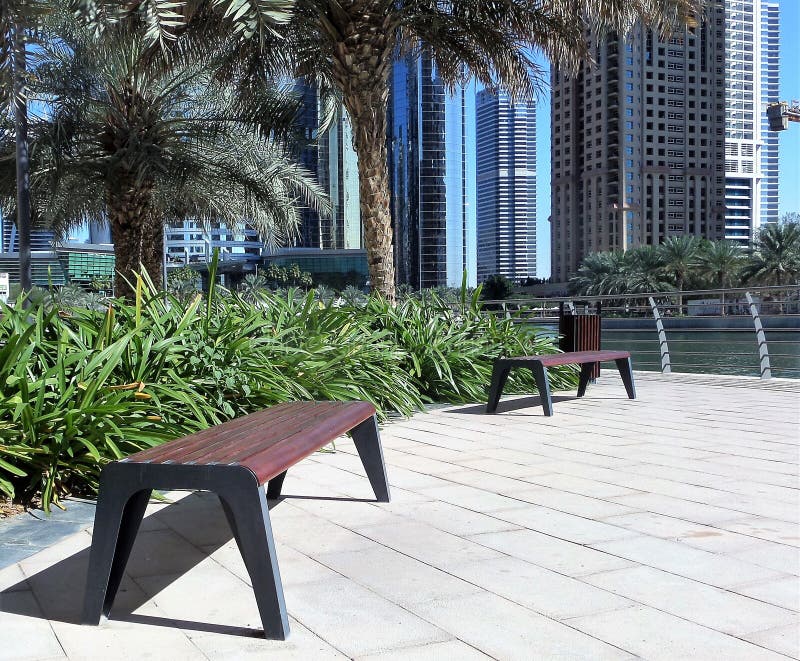 Benches and Palm Trees on the Waterfront. Dubai Stock Photo - Image of ...