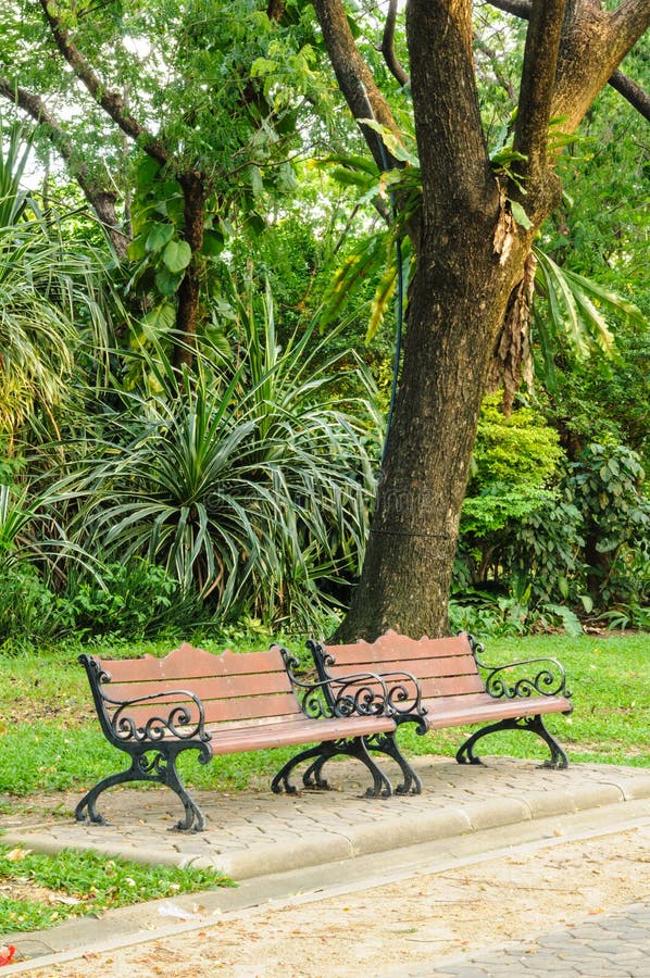 Bench in the park stock image. Image of plant, garden - 24701619