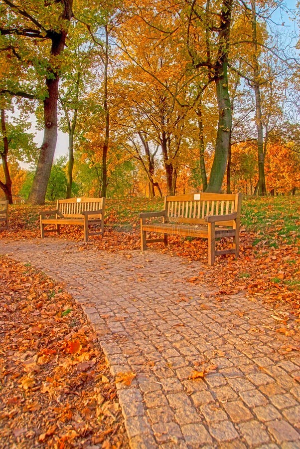 Benches in the park stock photo. Image of relaxation - 39221770