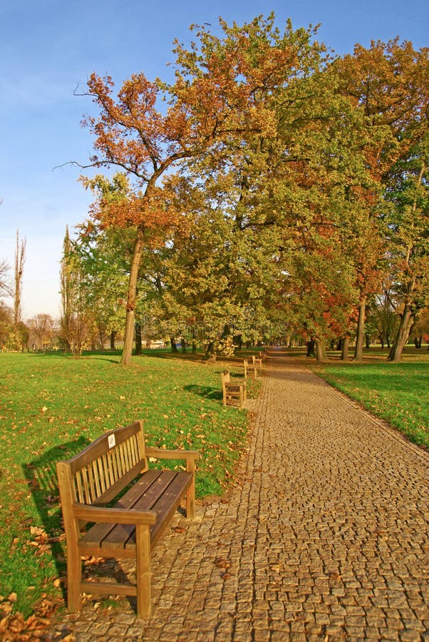 Benches in the park stock photo. Image of fall, furniture - 41220954