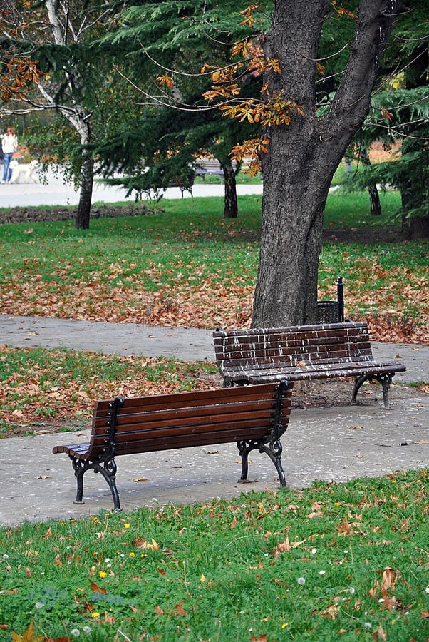 Benches in the park stock photo. Image of trees, foliage - 54314088