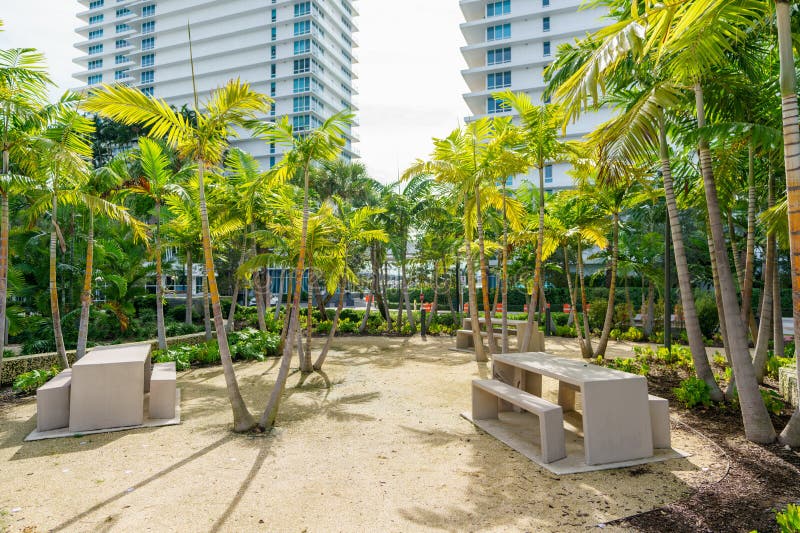 Benches in the Park Canopy Park Miami Beach Florida Stock Photo - Image ...