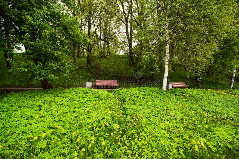 Benches in the park stock photo. Image of scene, wooden - 115753422
