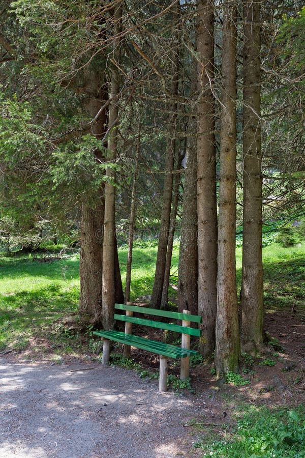 Benches stock photo. Image of recreation, nature, travel - 61254846