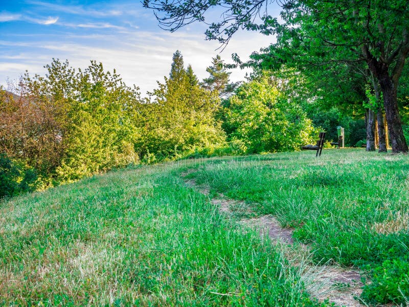 Benches in the Shade of Trees Overlooking the Landscape - a Place To ...