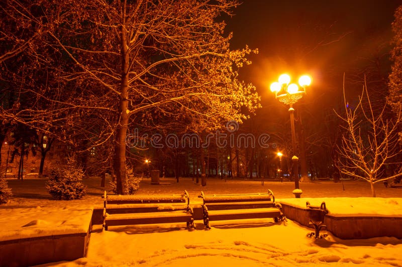 Benches in the Snow at Night in the Park Stock Image - Image of ...