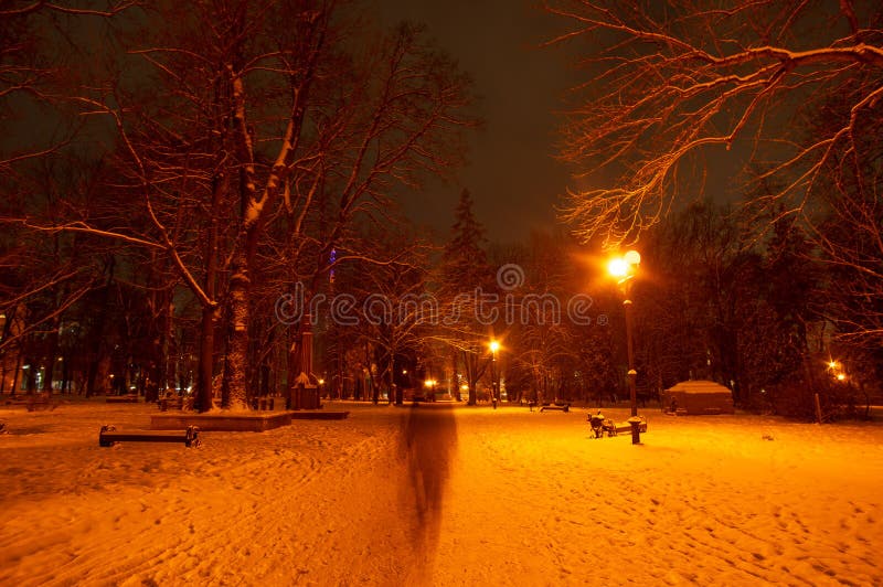 Benches in the Snow at Night in the Park Stock Photo - Image of winter ...