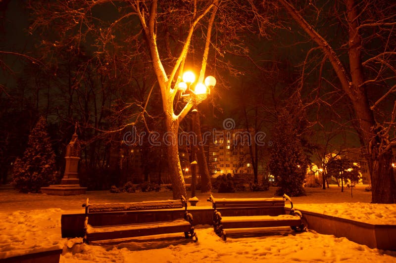Benches in the Snow at Night in the Park Stock Photo - Image of bench ...