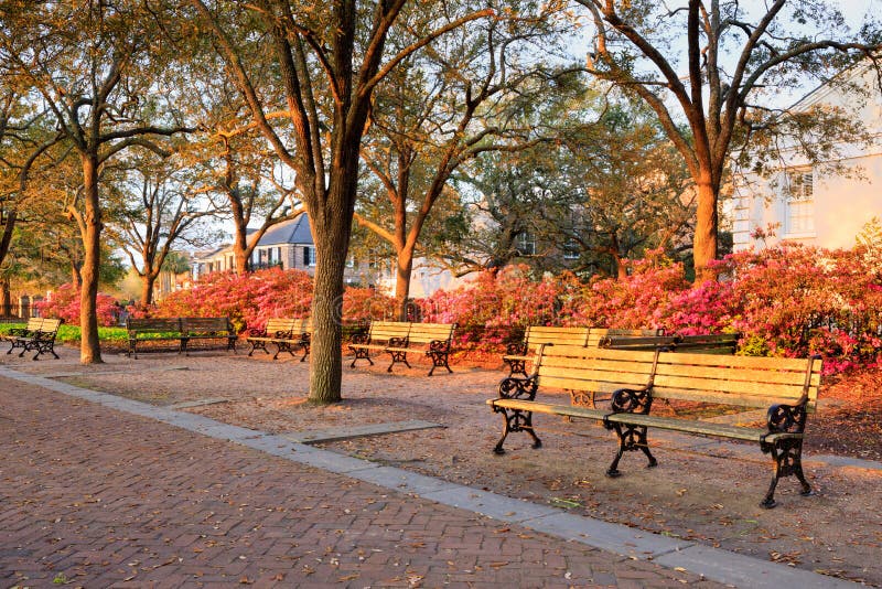 Benches Waterfront Park Charleston South Carolina Editorial Stock Photo ... Benches Waterfront Park Charleston South Carolina Editorial Stock Photo ...