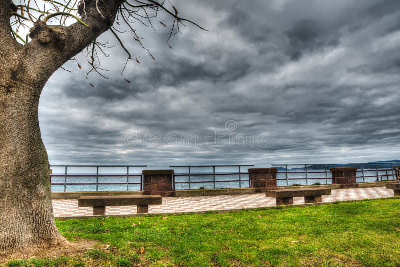 Benches and Tree by the Shore Stock Image - Image of tiles, grey: 48445065