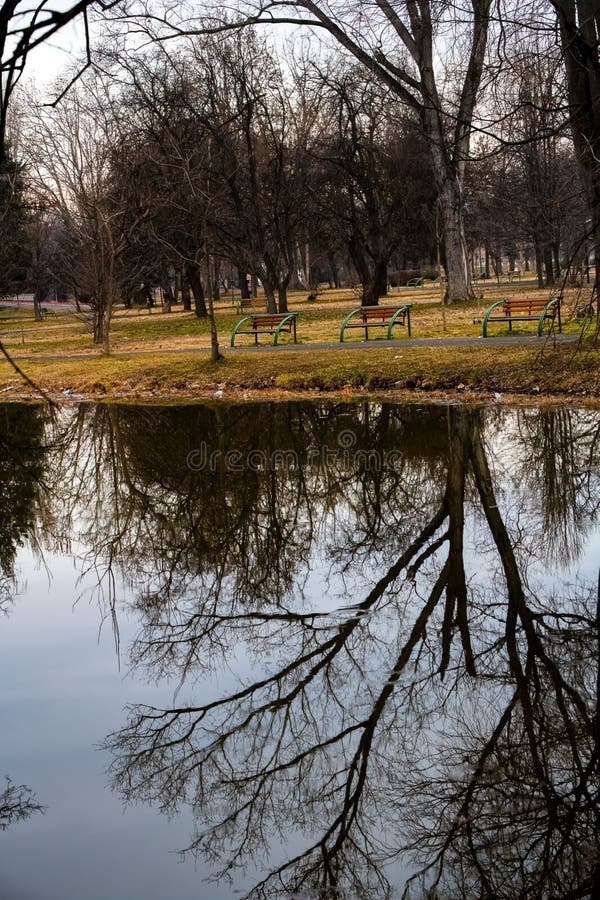 Idyllic Water Side at a Park Stock Image - Image of park, scenic: 241308057