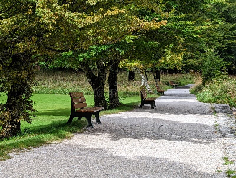 Benches Under Shady Tree Row and Gravel Path in a Park Stock Photo ...