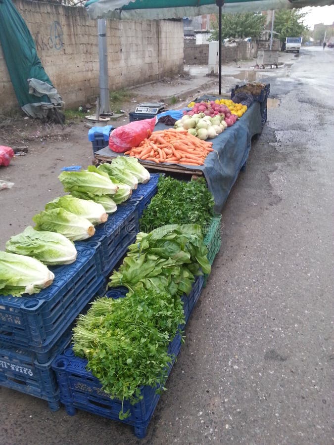 Benches and Vegetables stock image. Image of city, food - 178713641