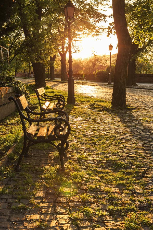 Benches in a Vienna Park at Sunset Stock Image - Image of scene ...
