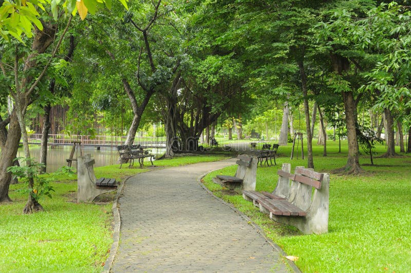 Benches beside the Walkway at the Park Stock Image - Image of walkway ...