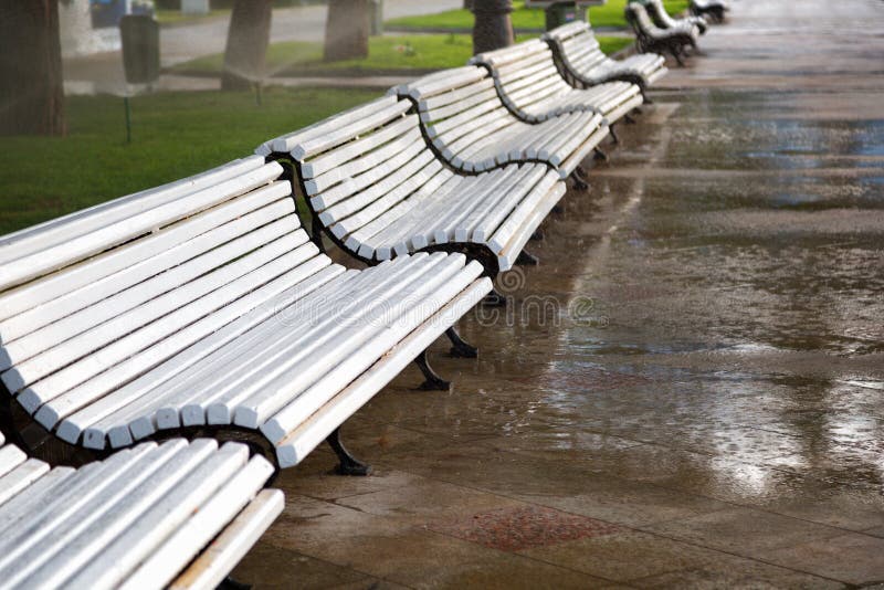 Benches, wet after rain stock photo. Image of green, nature - 56436428